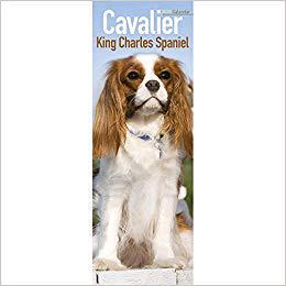 【预售】Cavalier King Charles Spaniel Slim Calendar 2020