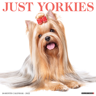 【预订】Just Yorkies 2022 Wall Calendar (Dog Breed) 9781549220265