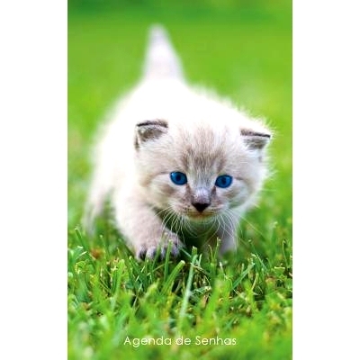 预订 Agenda de Senhas: Agenda Para Enderecos Eletronicos E Senhas: Capa Gatinho de Olhos A*s - Portugues (Brasil): 97815