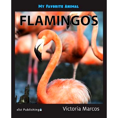 预订 My Favorite Animal: Flamingos: 9781532406171