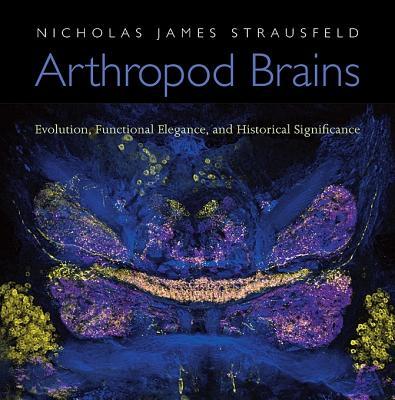 【预售】Arthropod Brains
