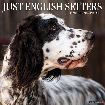 【预订】Just English Setters 2022 Wall Calendar (Dog Breed) 9781549217869