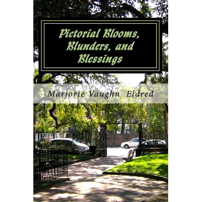 预订 Pictorial Blooms, Blunders, and Blessings: 9781539358374