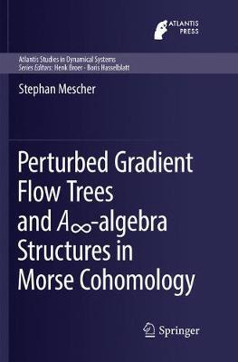 【预订】Perturbed Gradient Flow Trees and A∞-algebra Structures in Morse Cohomology