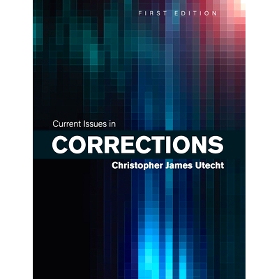预订 Current Issues in Corrections: 9781793559333