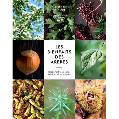 预订 Les bienfaits des arbres : reconnaître, récolter, cuisiner et se soigner 树木的好处：识别、采伐、烹饪和*: 9782