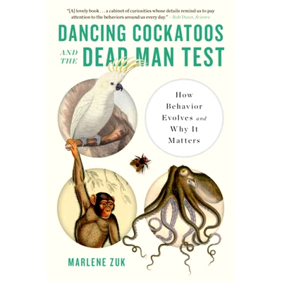 预订 Dancing Cockatoos and the Dead Man Test: How Behavior Evolves and Why It Matters: 9781324064404