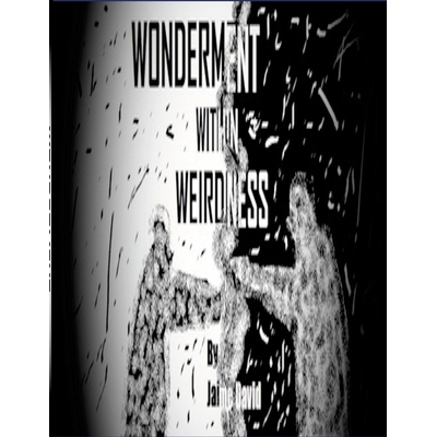 预订 Wonderment Within Weirdness: 9781300569213