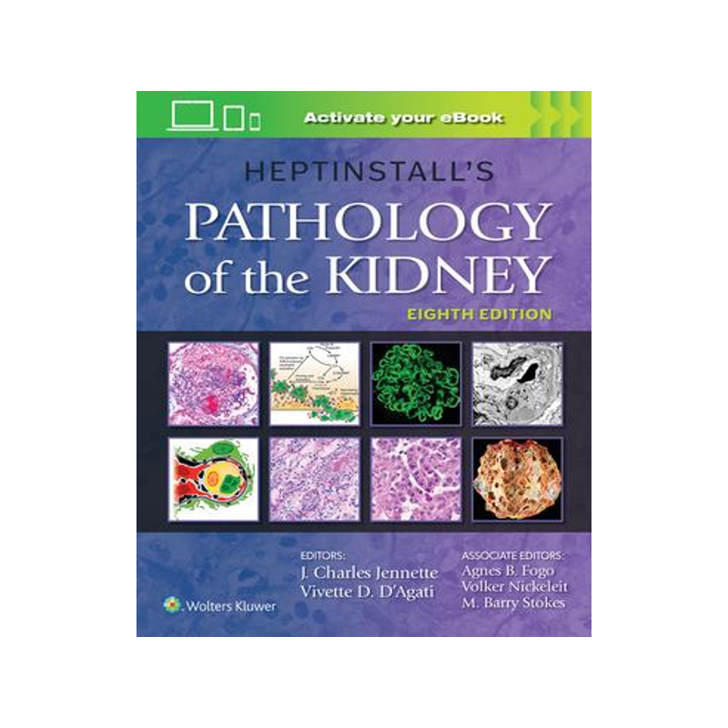 [预订]Heptinstall’s Pathology of the Kidney 9781975161538_虎窝淘