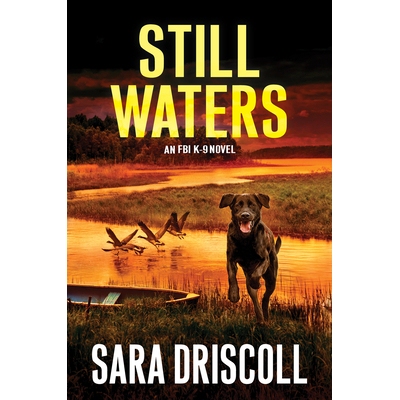 预订 Still Waters: A Riveting Novel of Suspense: 9781496735065