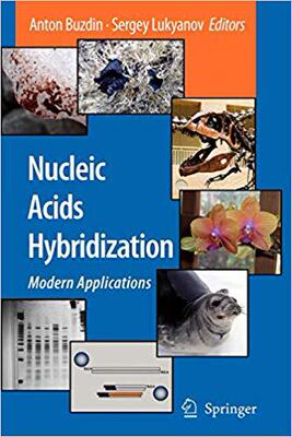 【预订】Nucleic Acids Hybridization 9789048175123