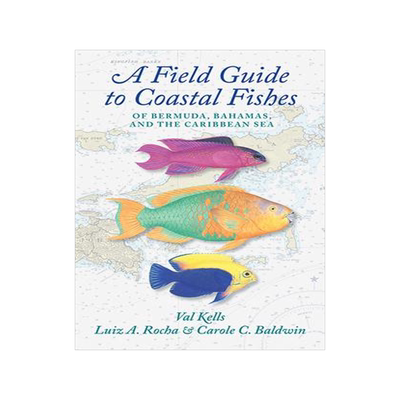 [预订]A Field Guide to Coastal Fishes of Bermuda, Bahamas, and the Caribbean Sea 9781421444680