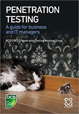 【预售】Penetration Testing: A Guide for Business and IT Managers