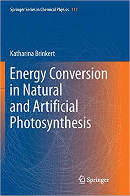 【预售】Energy Conversion in Natural and Artificial Photosynthesis