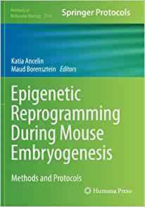 【预订】Epigenetic Reprogramming During Mouse Embryogenesis 9781071609606
