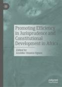 【预订】Promoting Efficiency in Jurisprudence and Constitutional Development 9783031138133