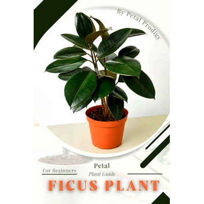 预订 Ficus Plant: Prodigy Petal, Plant Guide: 9798386748548