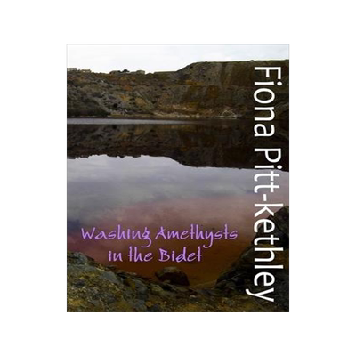 [预订]Washing Amethysts in the Bidet 9781912777365