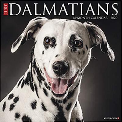 【预售】Just Dalmatians 2020 Wall Calendar (Dog Breed Calendar)
