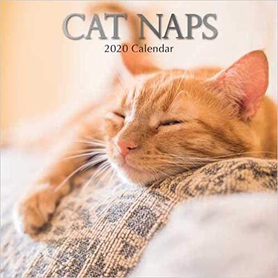 【预售】Cat Naps : 2020 Square Wall Calendar