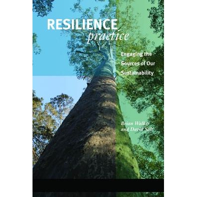 预订 Resilience Practice: Building Capacity to Absorb Disturbance and Maintain Function 实践弹性: 9781597268004