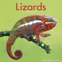 【预订】Lizards 2023 Wall Calendar 9781839418099