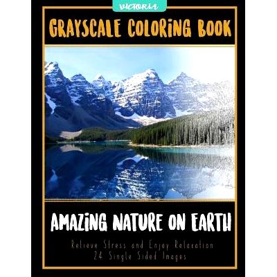 预订 Amazing Nature on Earth: Landscapes Grayscale Coloring Book Relieve Stress and Enjoy Relaxation 24 Single Sided Ima