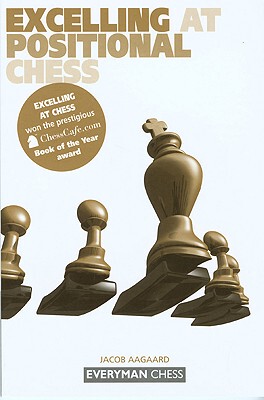 【预订】Excelling at Positional Chess 9781857443257