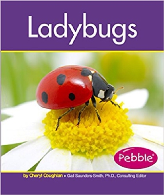 【预订】Ladybugs