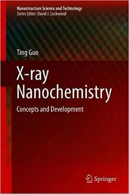 【预售】X-ray Nanochemistry