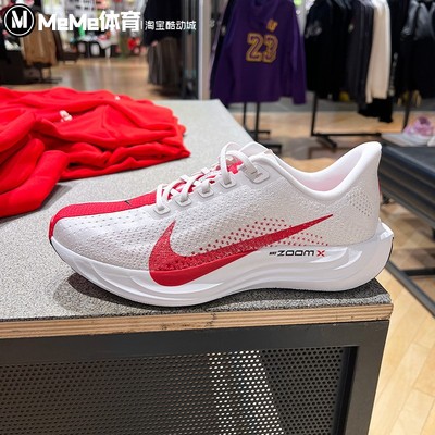 耐克男鞋2025春季新款Pegasus Plus飞马缓震运动跑步鞋FQ7262-003