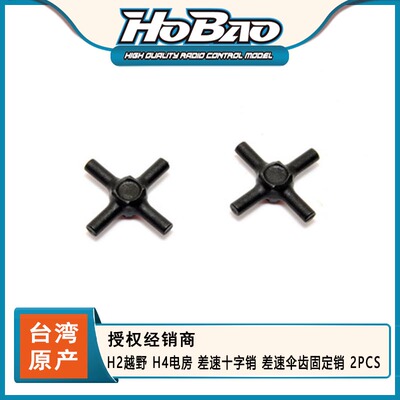 禾宝HOBAO 41007 H2越野 H4电房 差速十字销 差速伞齿固定销 2PCS