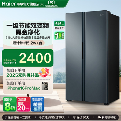 Haier/海尔BCD-616WGHSSEDC9