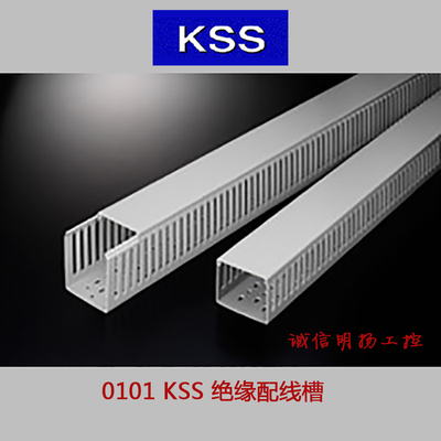 KSS/凯士士 绝缘配线槽(UL CSA) KD-2.5 灰色 65×45×1.7m 1根