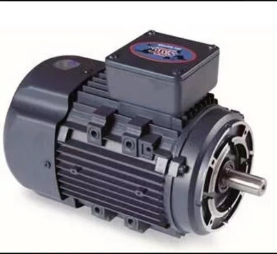 YSJ7114-BH 250W上海金陵电机股份有限公司/上海金陵雷戈勃劳伊