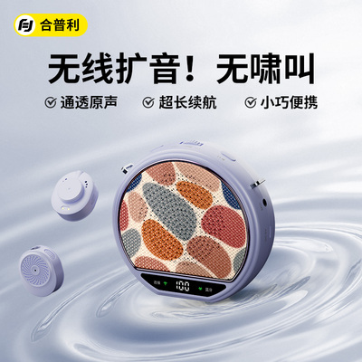 E10W领夹小蜜蜂新款教师上课专用