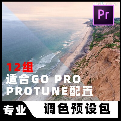 专用GoPro PROTUNE颜色配置LUTS电影色彩调色滤镜预设PR/AE/PS