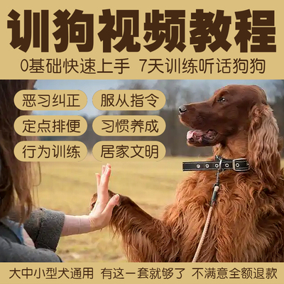 训狗视频教程训犬宠物狗狗行为训练教学恶习纠正零基础全套课程