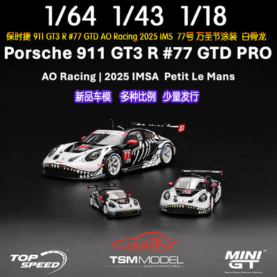 TSMMINIGT保时捷911GT3R化骨龙