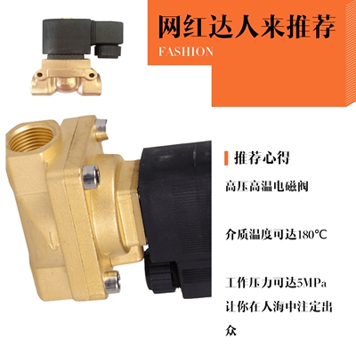 4分高温电磁阀耐压50公斤22310 6213 5404 52310-15水阀气阀ac220