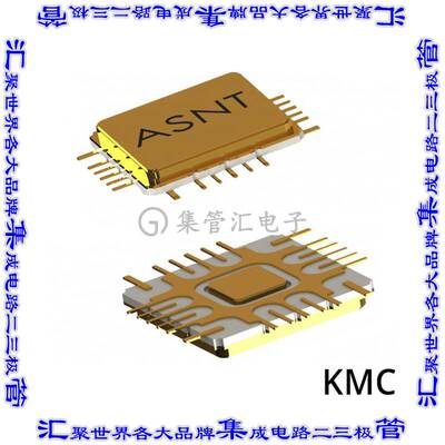 ASNT8151-KMC 集成电路芯片IC CLOCK MULTIPLIER 24CQFP