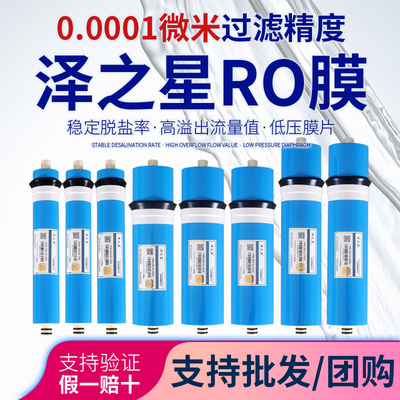 泽之星ro膜新款3013-400G600通用