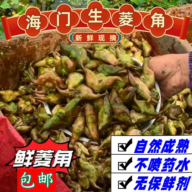 海门新鲜菱角现摘大青菱角带壳老菱角野生青菱角米菱新鲜蔬果包邮