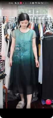 双层100%桑蚕丝印花连衣裙真丝销短袖中长裙J111