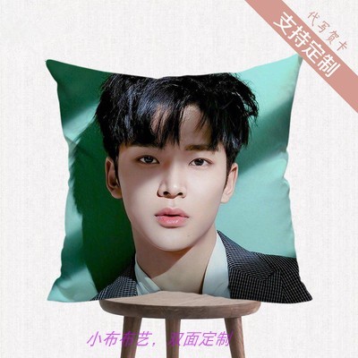 海报写真宿舍靠垫抱枕