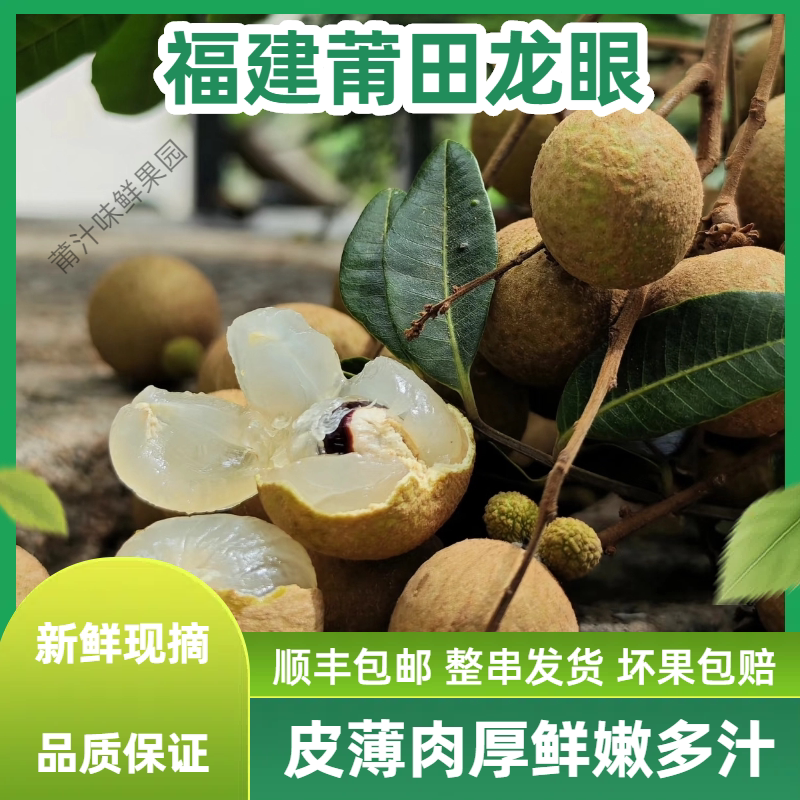 【空运包邮】福建莆田龙眼莆汁味新鲜水果当季现摘脆爽爆甜桂圆