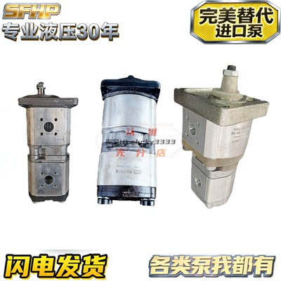 REXROTH力士乐双联齿轮油泵1518222951 0510765068 R9026507 69