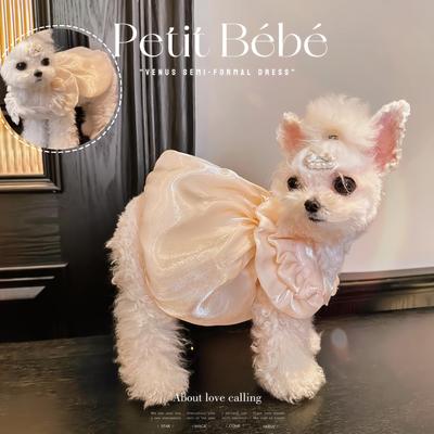 《维纳斯》小礼服狗裙子公主猫咪