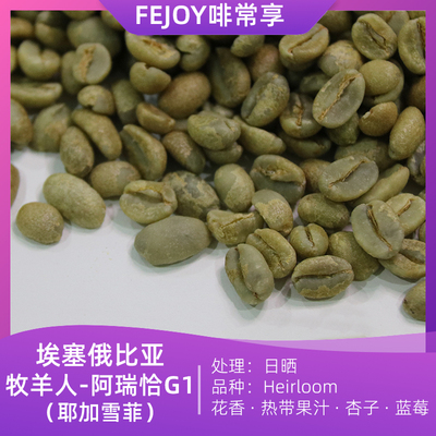 25季埃塞牧羊人阿瑞恰G1花果香