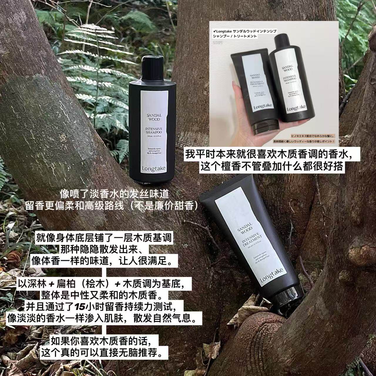【木质香】韩国Longtake雪野松檀洗发水清爽控油蓬松不塌持久留香